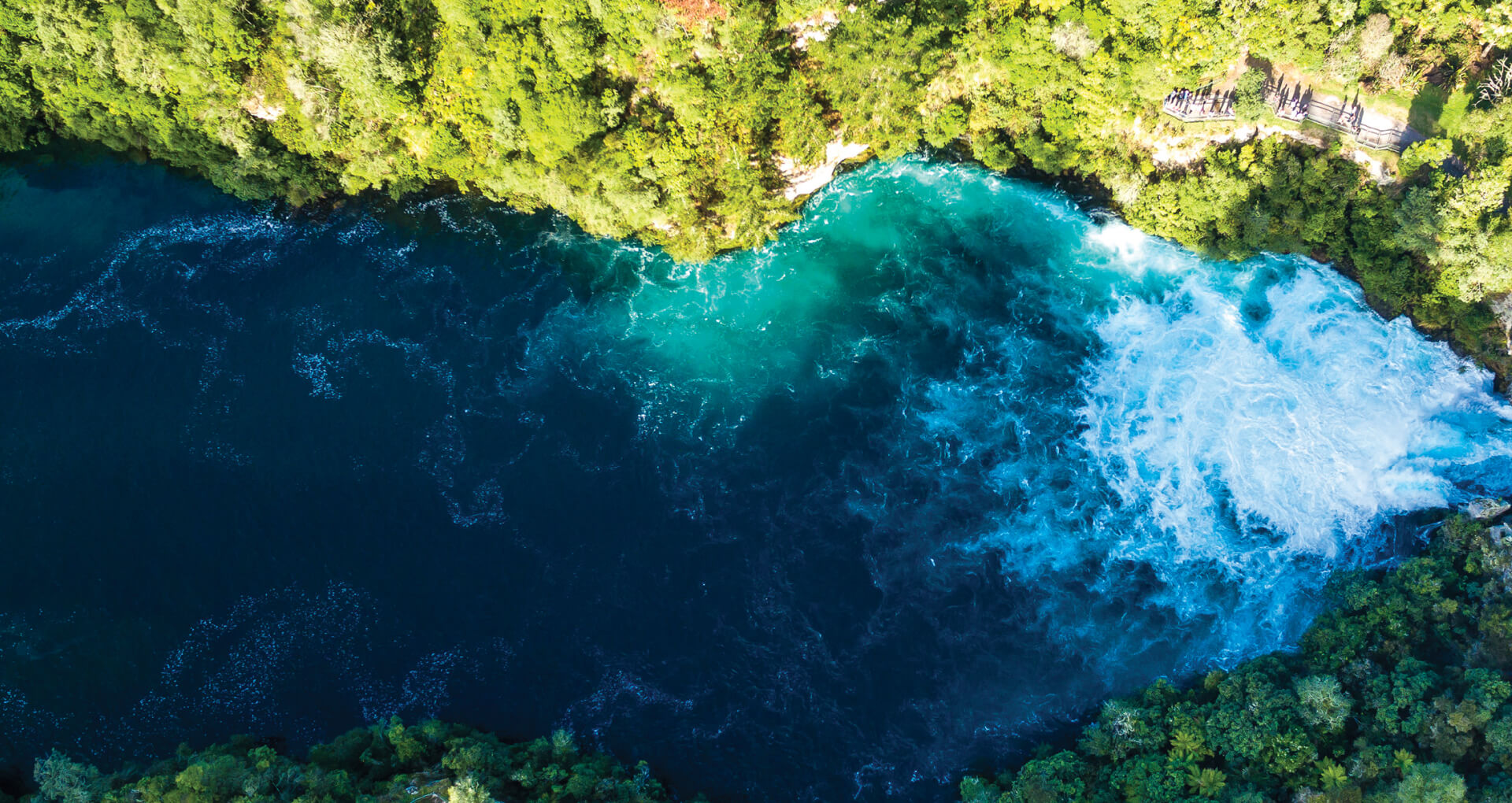 Eco Detection - The Lab in the Field - The Data at Your Fingertips